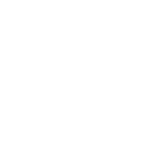 United Formula Ford feat. Champion of Brands